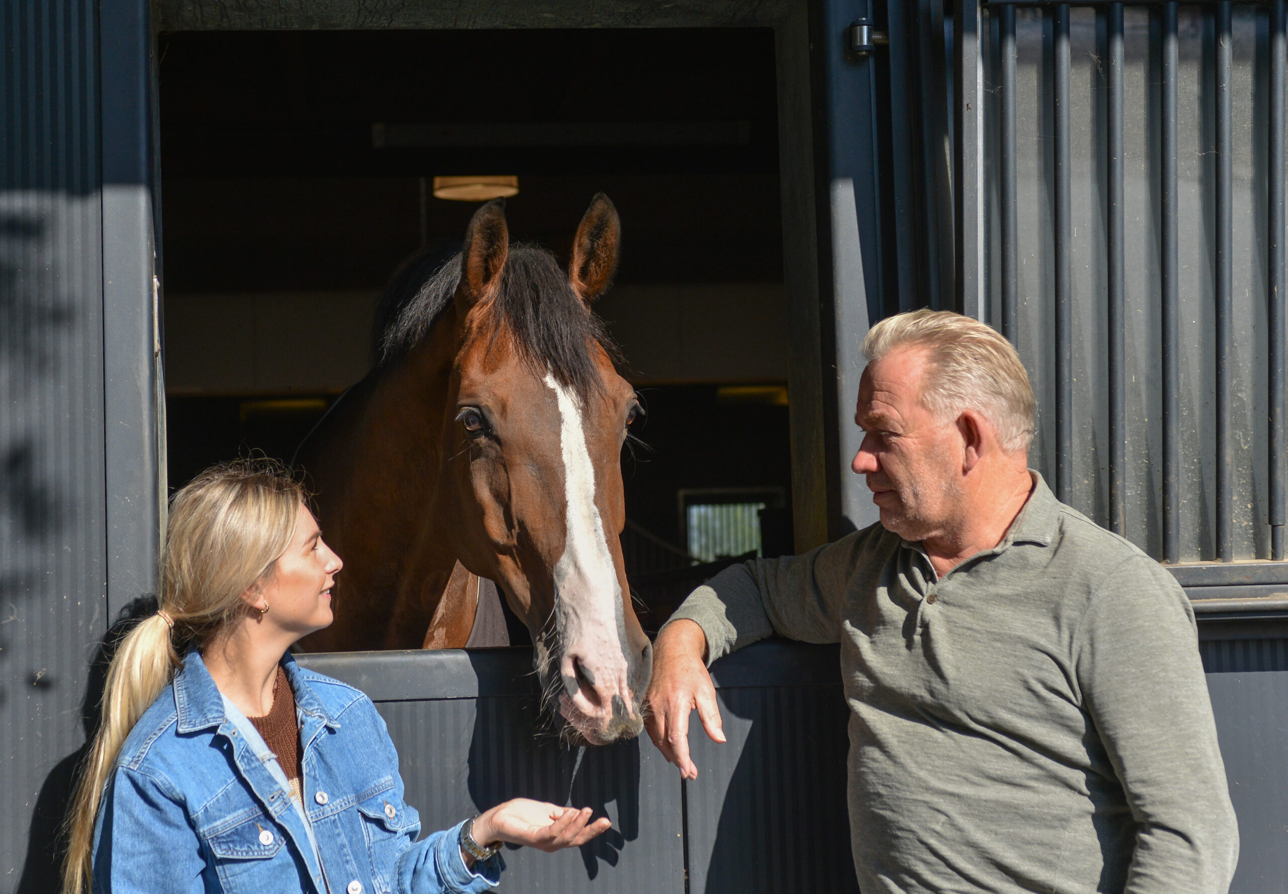 Bedrijfsreportage: Hendriks Sporthorses - De Hippische Ondernemer