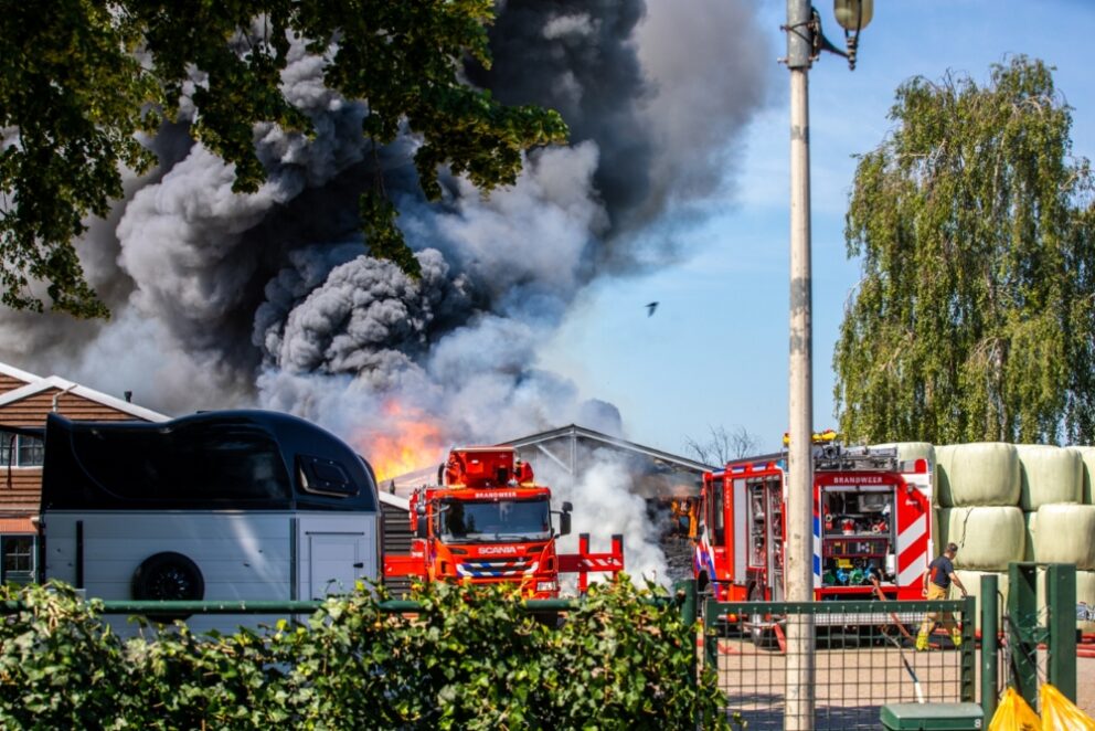 Stalbrand voorkomen - De Hippische Ondernemer